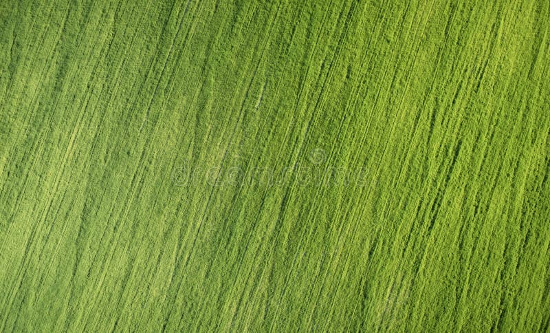 Texture of Green Field Land Stock Photo - Image of plant, farm: 186901430