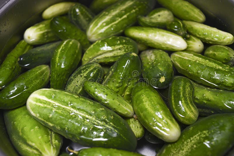 Backgroundcucumber Stock Photos - Free & Royalty-Free Stock Photos from ...