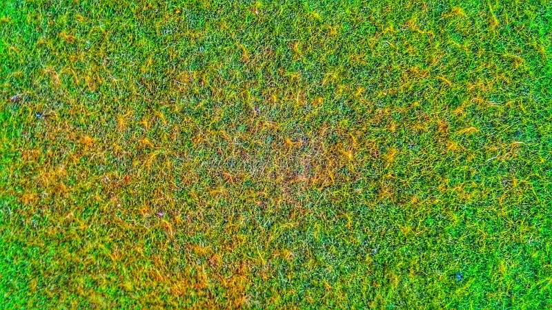 Texture, Green, High Resolution Stock Image - Image of background ...