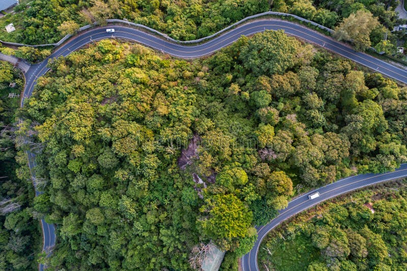 Texture of Green Leaves in Rainforests, Conservation Concept,Natural ...