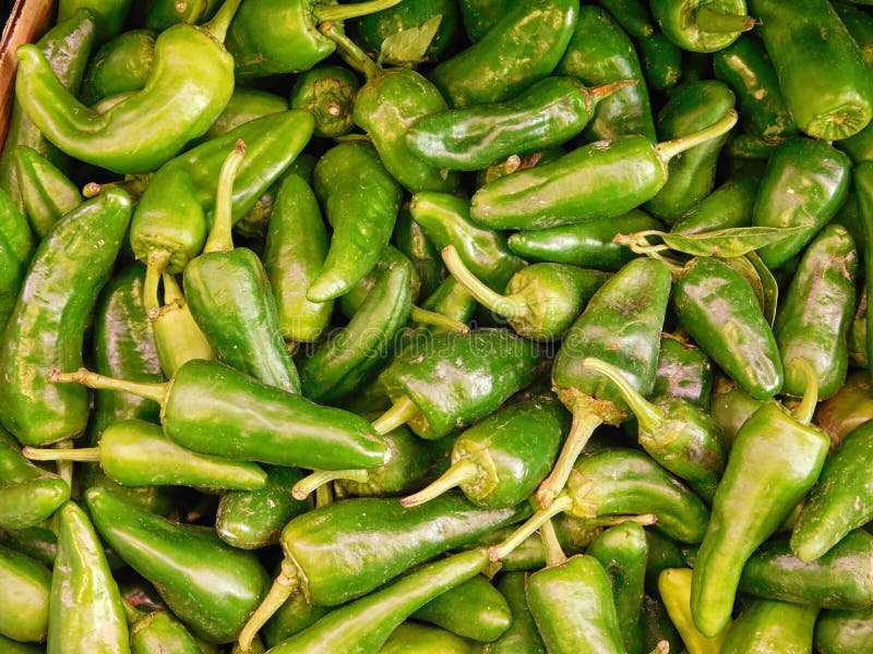 Green peppers texture stock image. Image of green, food - 48842039