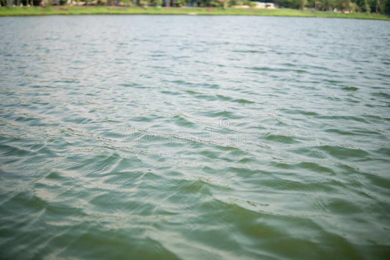 Texture of Green Water Surface. Environment Photos Concept. Stock Photo ...