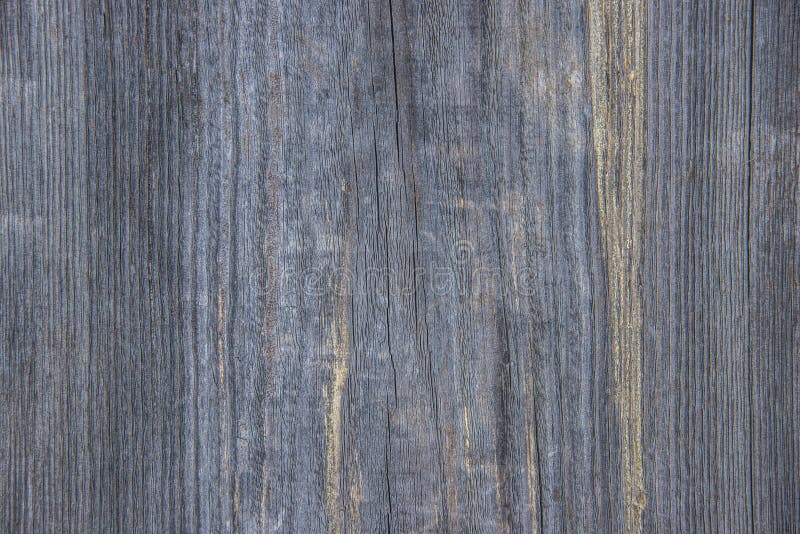 The texture of grey Board stock photo. Image of copy - 109929706