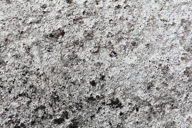 A texture of grey sand stock photo. Image of fence, wooden - 120558258