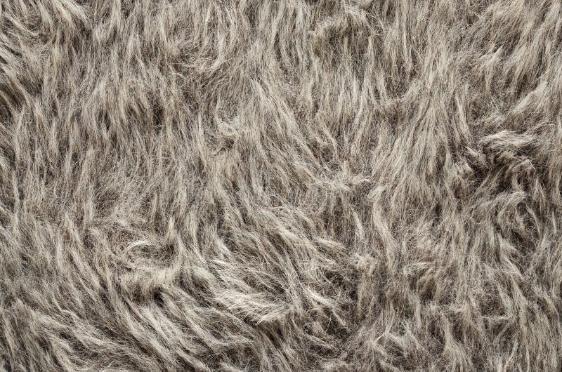 Texture Grise De Fourrure, Plan Rapproché Image stock - Image du fermer ...
