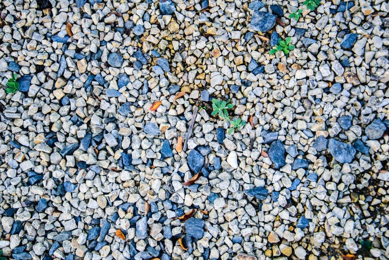 Texture grit stock photo. Image of texture, surface, path - 96349562