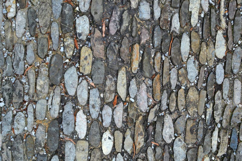 8613 Pluribus Stock Photos - Free & Royalty-Free Stock Photos from ...