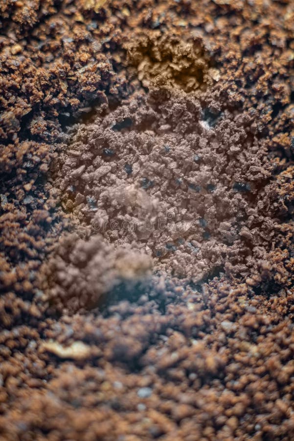 Texture Ground Coffee Macro Photography Brown Warm Stock Photo - Image ...