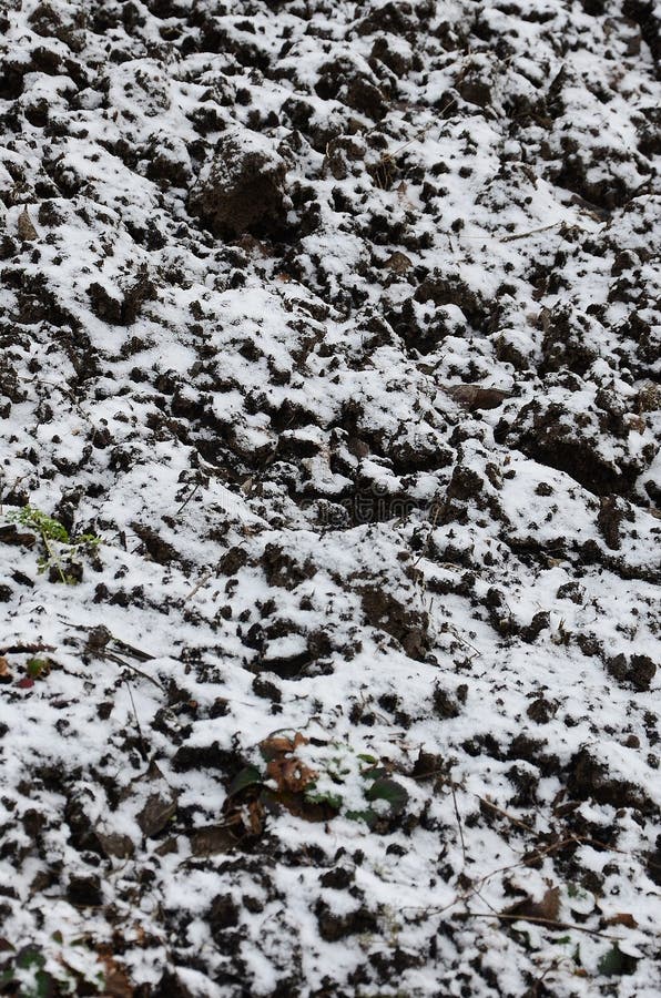 The Texture of the Ground, Covered with a Thin Layer of Snow. the Soil ...