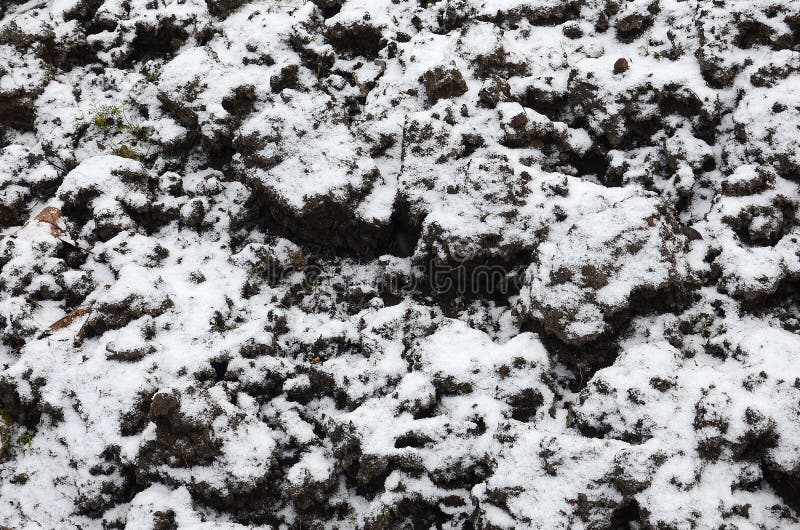 The Texture of the Ground, Covered with a Thin Layer of Snow. the Soil ...