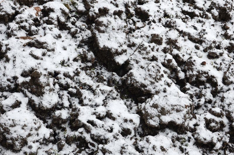 The Texture of the Ground, Covered with a Thin Layer of Snow. the Soil ...