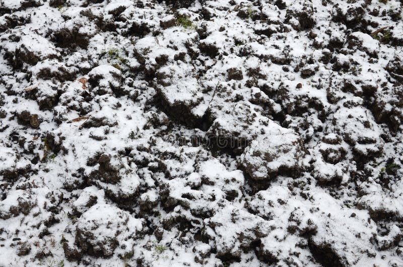 Texture Ground Snow Stock Images - Download 9,619 Royalty Free Photos