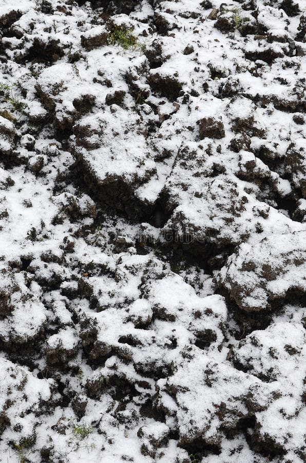The Texture of the Ground, Covered with a Thin Layer of Snow. the Soil ...