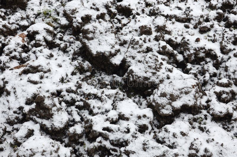 The Texture of the Ground, Covered with a Thin Layer of Snow. the Soil ...