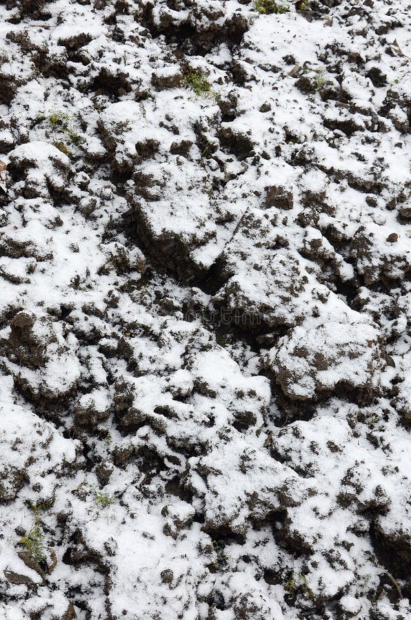 The Texture of the Ground, Covered with a Thin Layer of Snow. the Soil ...