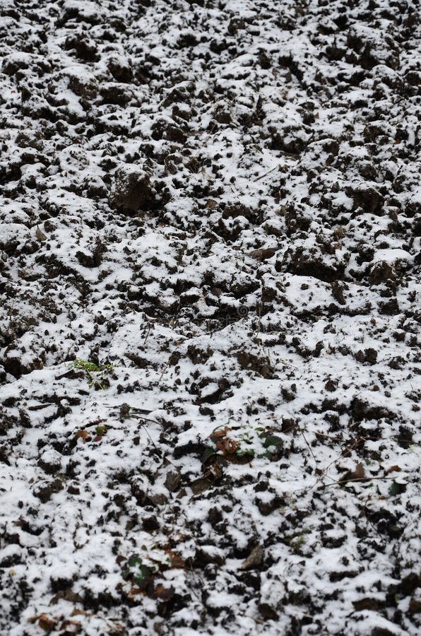 The Texture of the Ground, Covered with a Thin Layer of Snow. the Soil ...