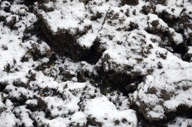 The Texture of the Ground, Covered with a Thin Layer of Snow. the Soil ...