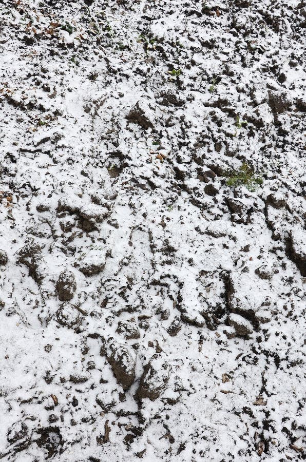 The Texture of the Ground, Covered with a Thin Layer of Snow. the Soil ...