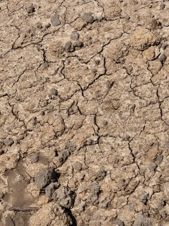 Texture of the Ground Cracked by Drought Stock Photo - Image of warming ...