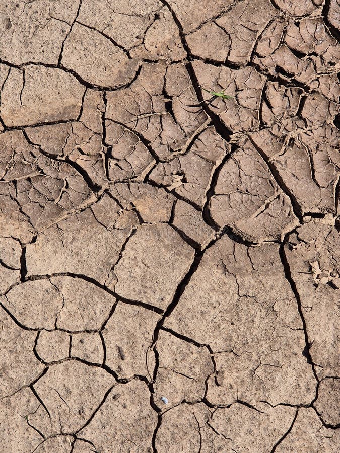 Texture of the Ground Cracked by Drought Stock Photo - Image of ground ...