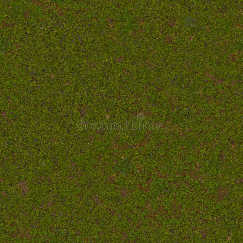 Texture Ground Dirt Forest Flowers. Nature Background Stock Photo ...