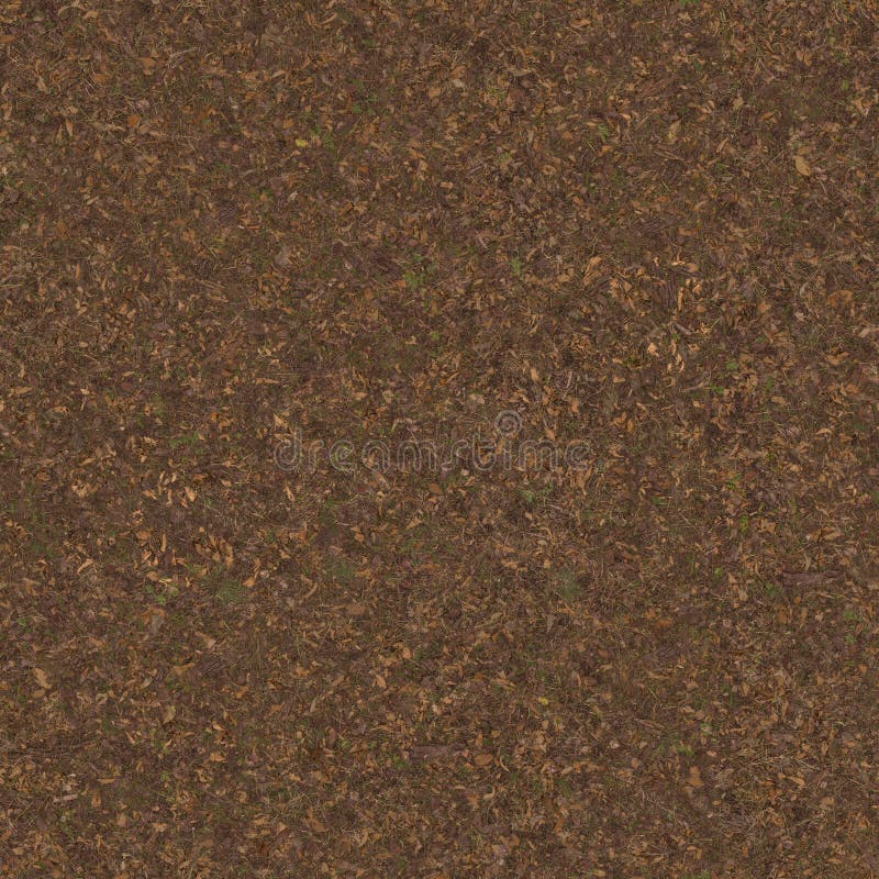 Texture Ground Dirt Forest. Nature Background Stock Photo - Image of ...