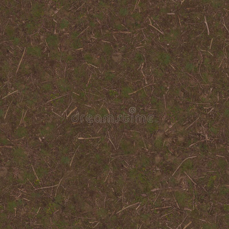 Texture Ground Dirt Forest. Nature Background Stock Image - Image of ...