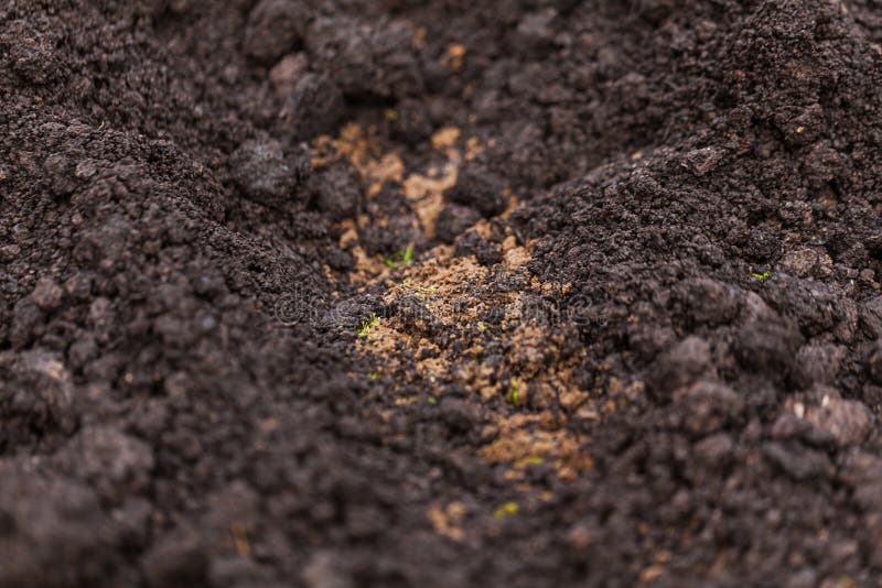 Texture ground, earth stock image. Image of closeup - 108368937