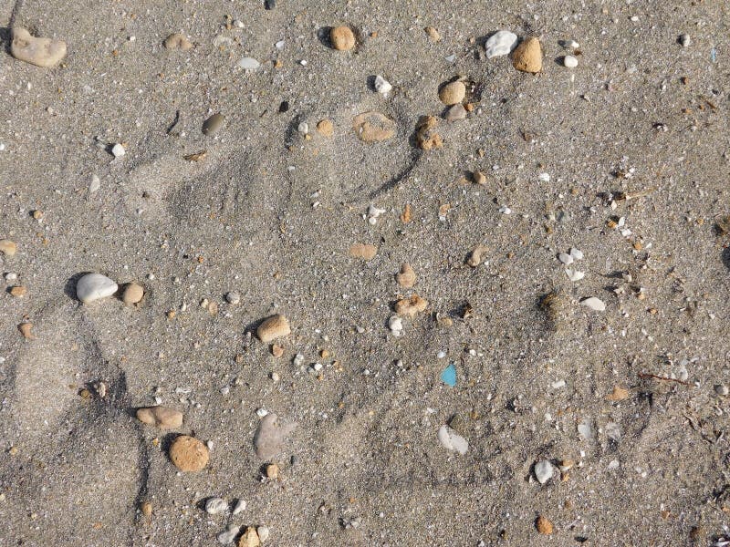 Texture of ground stock image. Image of dirt, garden - 70511679