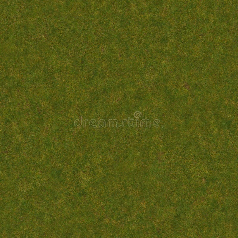 Texture Ground Grass Green. Nature Background Stock Image - Image of ...