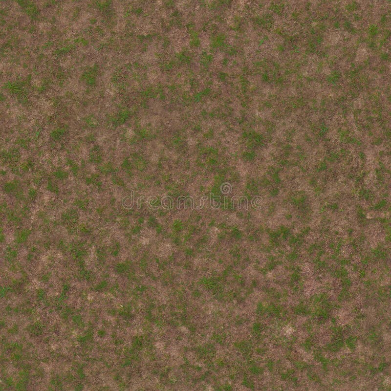 Texture Ground Grass Green Patchy. Nature Background Stock Photo ...