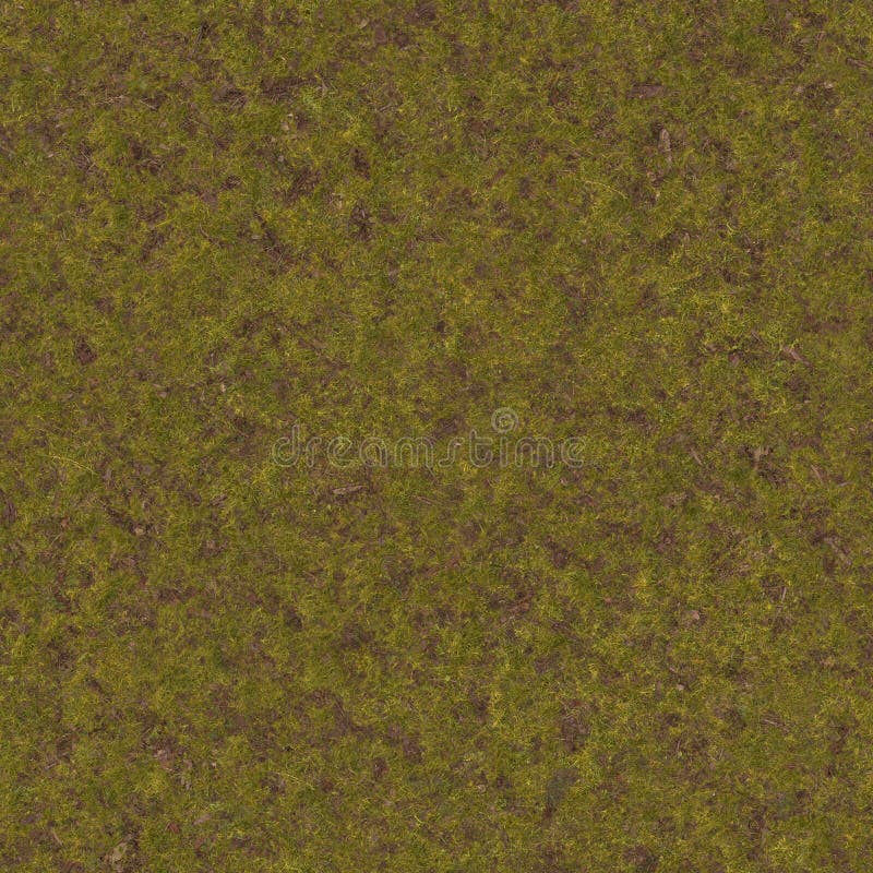 Texture Ground Grass Green Patchy. Nature Background Stock Photo ...