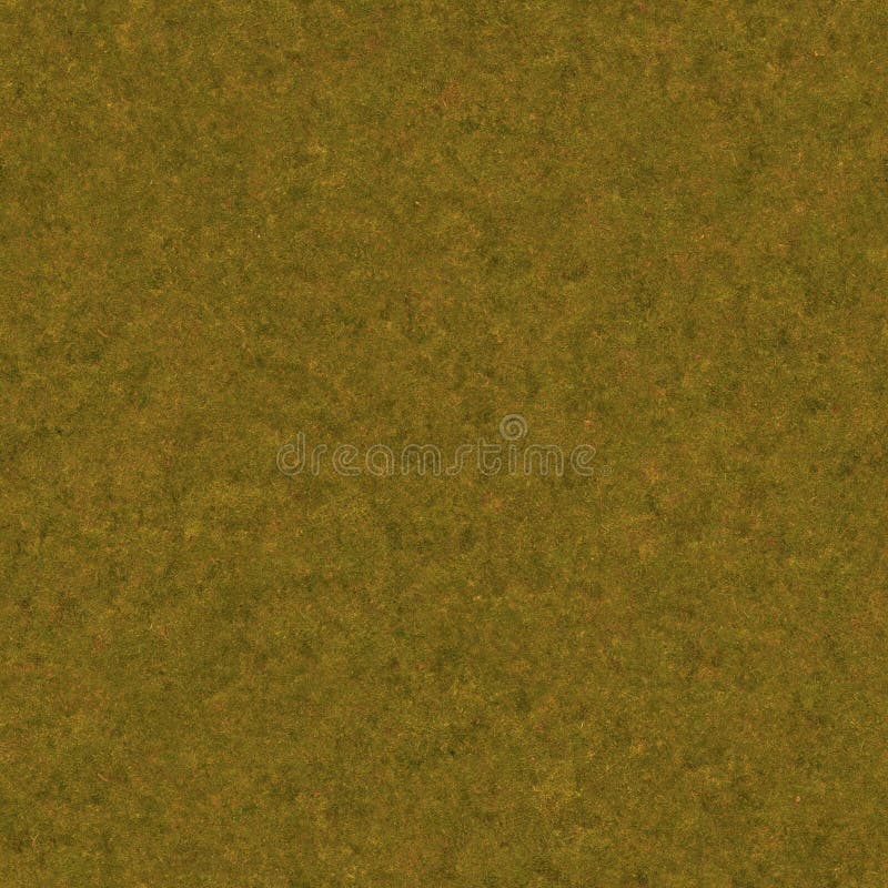 Texture Ground Grass Yellow. Nature Background Stock Photo - Image of ...