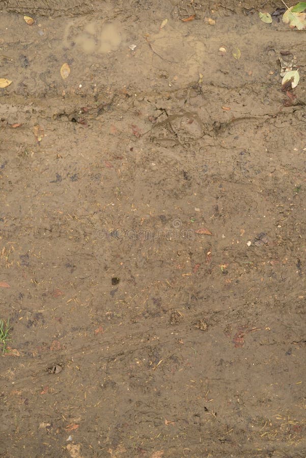 The Texture of the Ground. High Resolution Stock Image - Image of ...