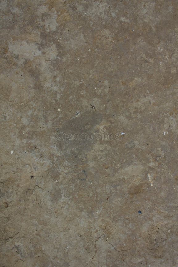 The Texture of the Ground. High Resolution Stock Photo - Image of home ...