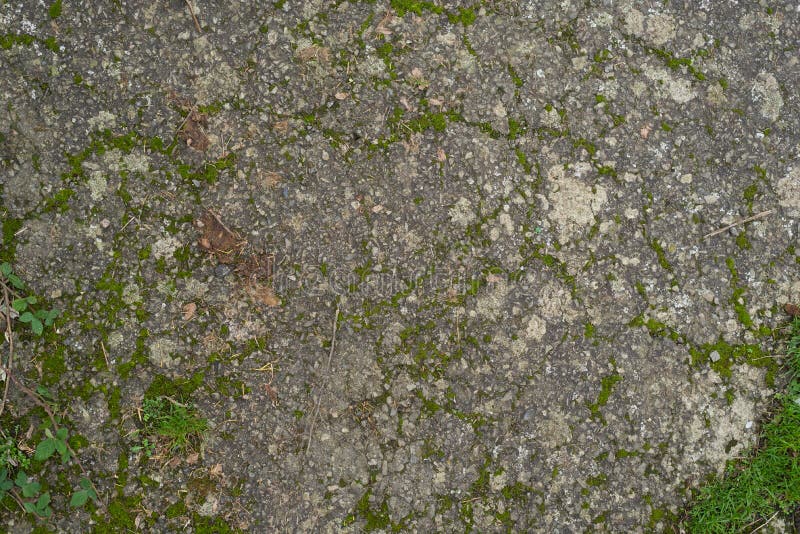 The Texture of the Ground. High Resolution Stock Photo - Image of clay ...