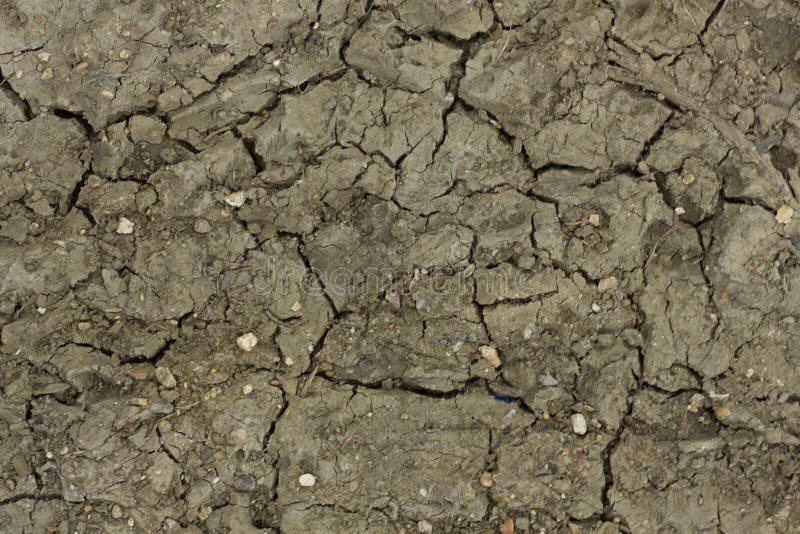 The Texture of the Ground. High Resolution Stock Photo - Image of field ...