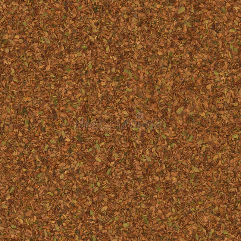 Texture Ground Leaves Dead. Nature Background Stock Image - Image of ...