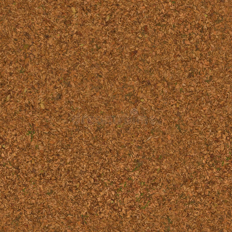 Texture Ground Leaves Dead. Nature Background Stock Photo - Image of ...