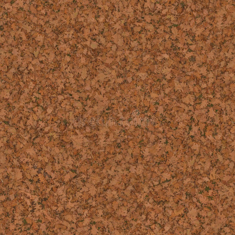 Texture Ground Leaves Dead. Nature Background Stock Photo - Image of ...