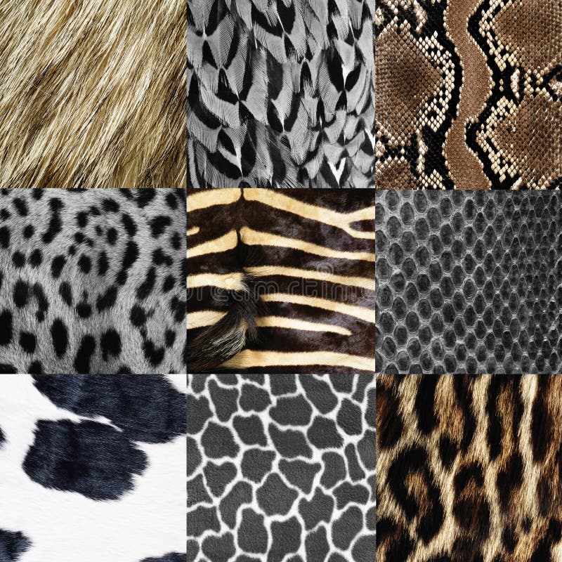 Patchwork of 196 skins stock image. Image of animals - 12911397