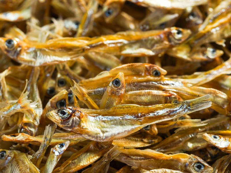 Dried fish stock image. Image of group, eating, texture - 86376709