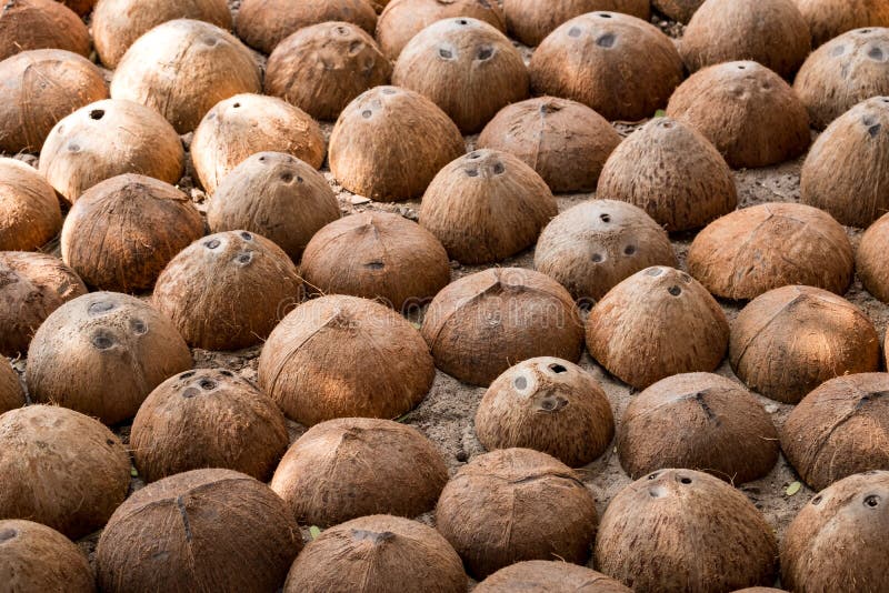 Coconut Shell Texture Stock Photos - Download 3,908 Royalty Free Photos