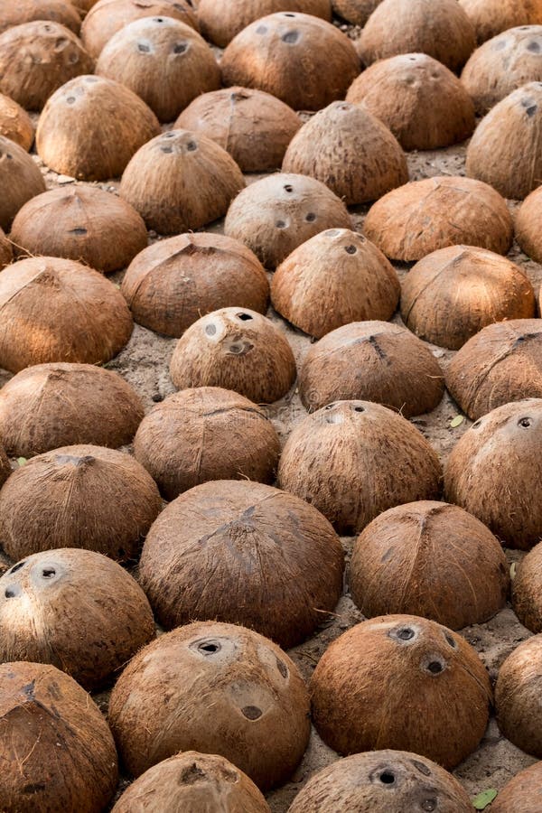 Coconut Shell Texture Stock Photos - Download 3,908 Royalty Free Photos