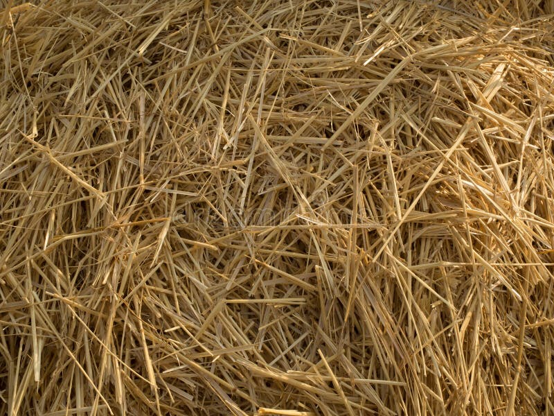 Texture hay stock image. Image of haulm, hayrick, gold - 45873241