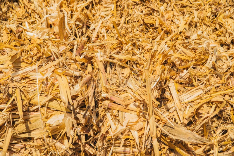 The Texture of the Haystack. Background of Dry Yellow Hay Stock Image ...