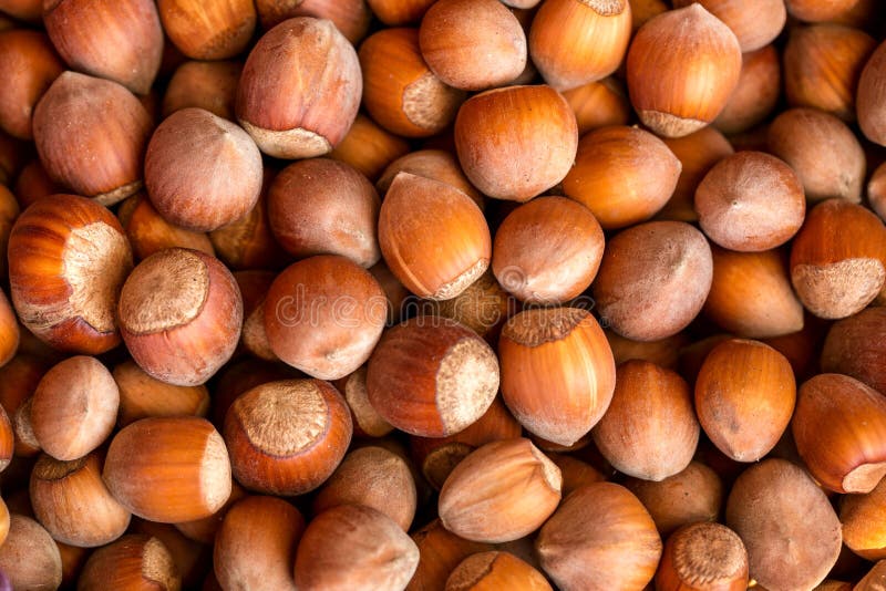 The Texture of the Hazelnut, the View from the Top Stock Image - Image ...