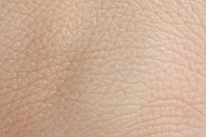 Texture of Healthy Skin As Background, Macro View Stock Photo - Image ...