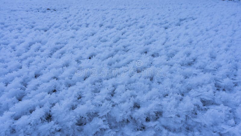 The Texture of Hoarfrost on the Ground. Stock Photo - Image of soft ...
