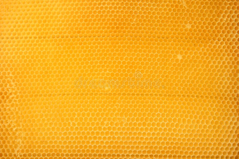 Texture of Honeycomb. Bright Yellow Honey Background Stock Illustration ...